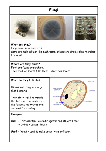 AQA B1 lesson on pathogens and Semmelweiss | Teaching Resources