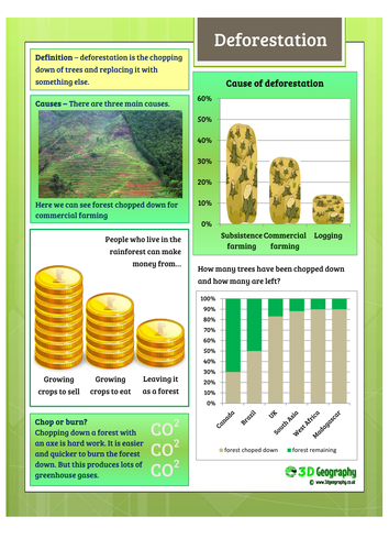 Deforestation worksheet | Teaching Resources