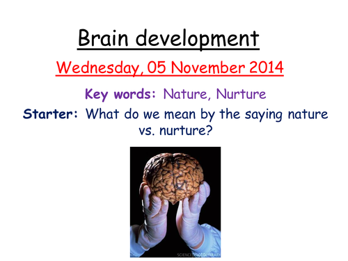Brain development, Nature vs. nurture | Teaching Resources