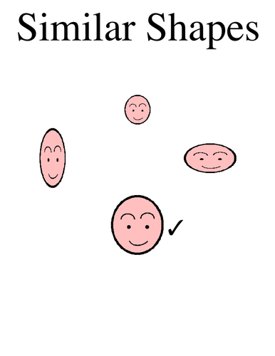 Similar Shapes Booklet | Teaching Resources