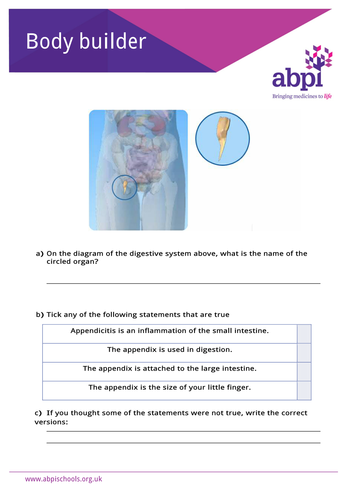 Body Parts - Appendix | Teaching Resources