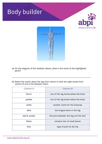 Body Parts - Legs | Teaching Resources