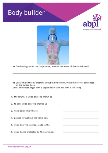 Body Parts - Voicebox | Teaching Resources