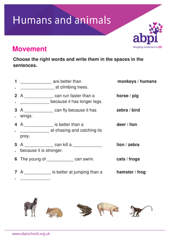 Humans & Animals | Teaching Resources