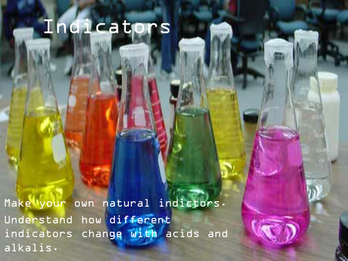 Natural Indicators | Teaching Resources