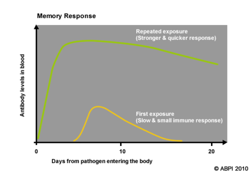 Immune Memory Graph | Teaching Resources
