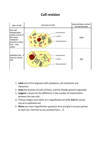 Cell Structure Revision | Teaching Resources