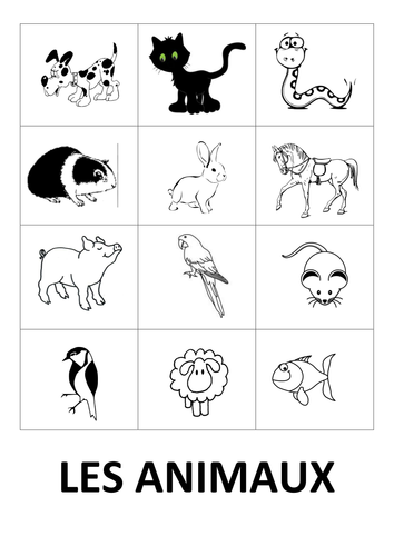 Pets in French Les Animaux | Teaching Resources