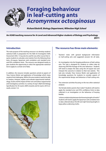 Animal Behaviour: Foraging behaviour in ants | Teaching Resources
