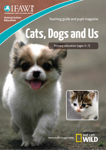 Persuasive Writing: Cats or Dogs? (Plan and Resources, Key Stage 2) by ...