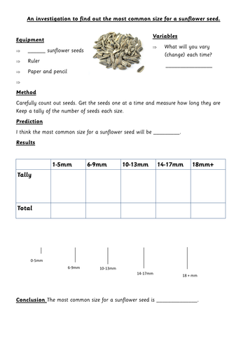 Simple seed size investigation | Teaching Resources