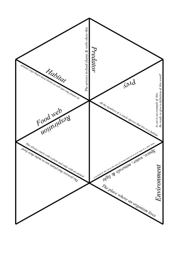 Food Chains and Populations Tarsia | Teaching Resources