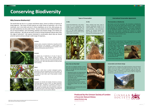Conservation Poster | Teaching Resources