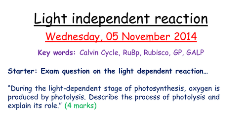 Light independent reaction | Teaching Resources