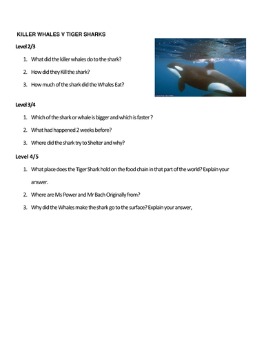 Reading compreh. Killer Whales eat a tiger shark | Teaching Resources