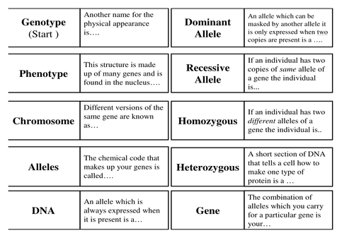 Genetics Terms Loop Cards | Teaching Resources
