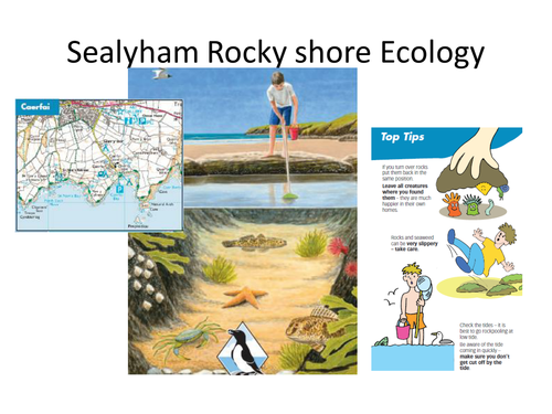 Rocky shore ecology | Teaching Resources
