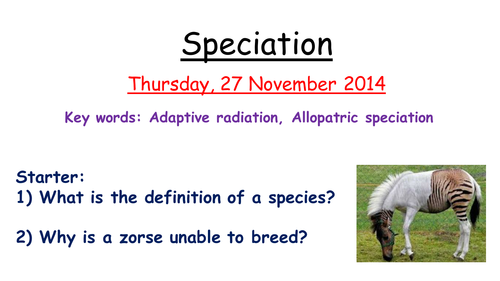 Allopatric speciation | Teaching Resources