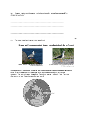 Speciation AQA B2 | Teaching Resources Speciation AQA B2 | Teaching Resources