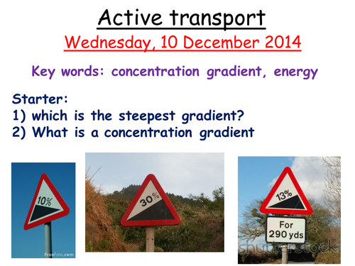 Active transport AQA B3 | Teaching Resources