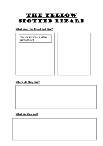 Holes yellow spotted lizard info sheet chapter 8 | Teaching Resources