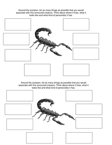 Night of the scorpion starter activity | Teaching Resources