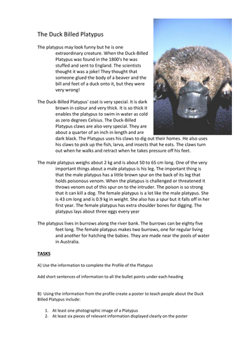 Comprehension - Duck Billed Platypus | Teaching Resources