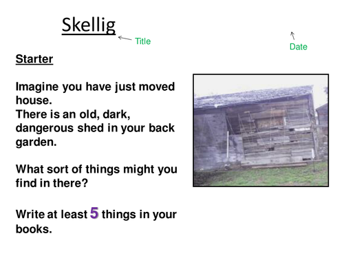 Skellig Lesson 1 | Teaching Resources