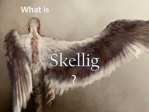 Skellig Lesson 11 | Teaching Resources
