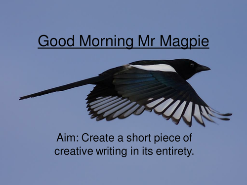 Skellig Magpie Creative Writing | Teaching Resources