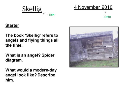 Skellig 10 Angels | Teaching Resources