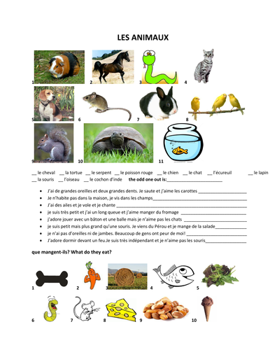 pets in French les animaux | Teaching Resources