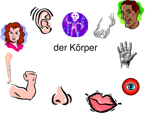 German Body Parts | Teaching Resources