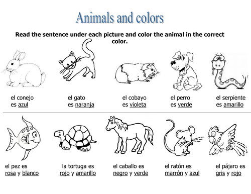 Animals & colors task | Teaching Resources
