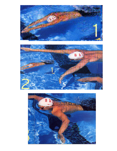 Swimming Middle level Reciprocal Cards | Teaching Resources