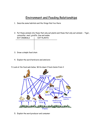 Environment and feeding relationships test | Teaching Resources
