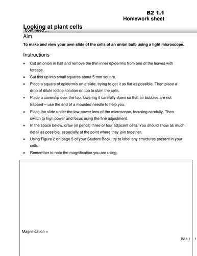 Plants Cells | Teaching Resources