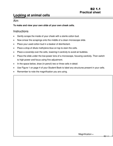 Animal cells | Teaching Resources