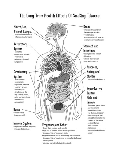 Long Term Effects of Smoking | Teaching Resources