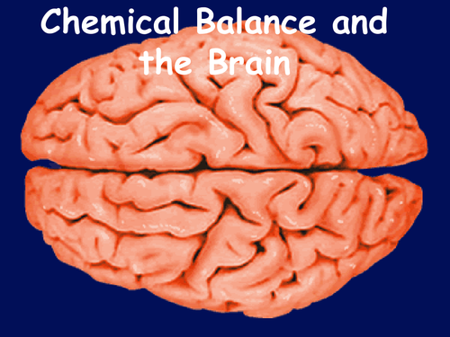 'Grey Matter' about the Brain | Teaching Resources