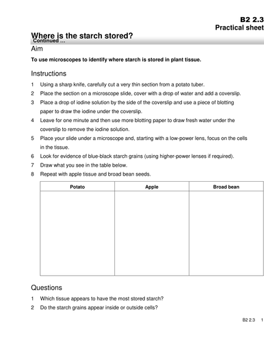 Where is starch stored? | Teaching Resources