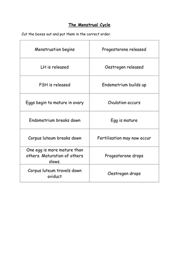 Menstrual Cycle Activities | Teaching Resources