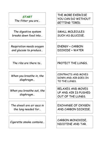 Fitness and Health Loop Game | Teaching Resources