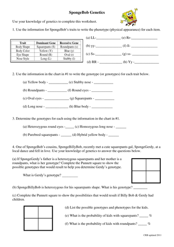 SpongeBob genetics | Teaching Resources SpongeBob genetics | Teaching Resources