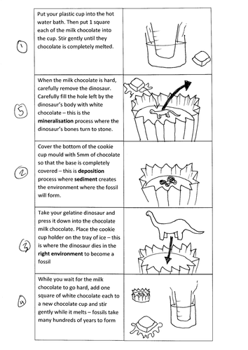Chocolate fossils | Teaching Resources