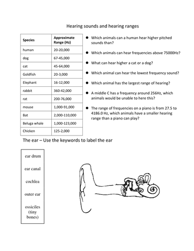 Sound and Hearing worksheet by hanmphillips - Teaching Resources - TES