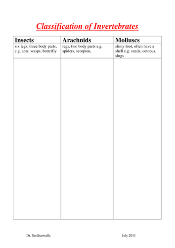 Classifying Invertebrates | Teaching Resources