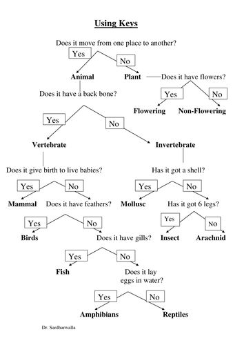 Classifying Living Organisms | Teaching Resources