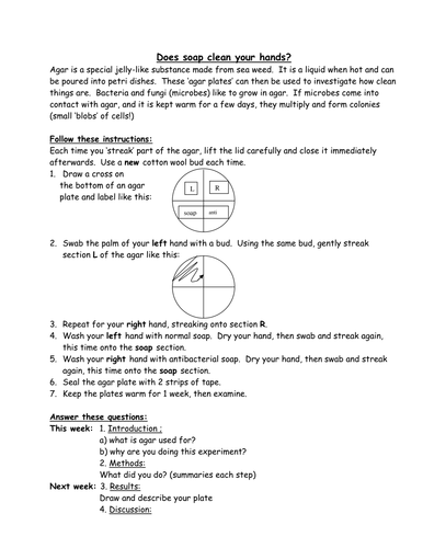 Lab: Does soap clean your hands? | Teaching Resources Lab: Does soap clean your hands? | Teaching Resources