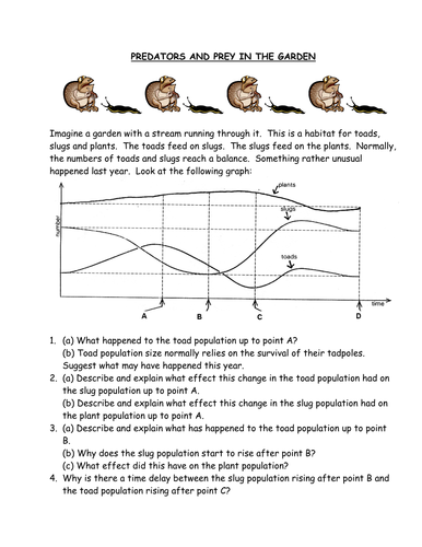 Predator And Prey Worksheet